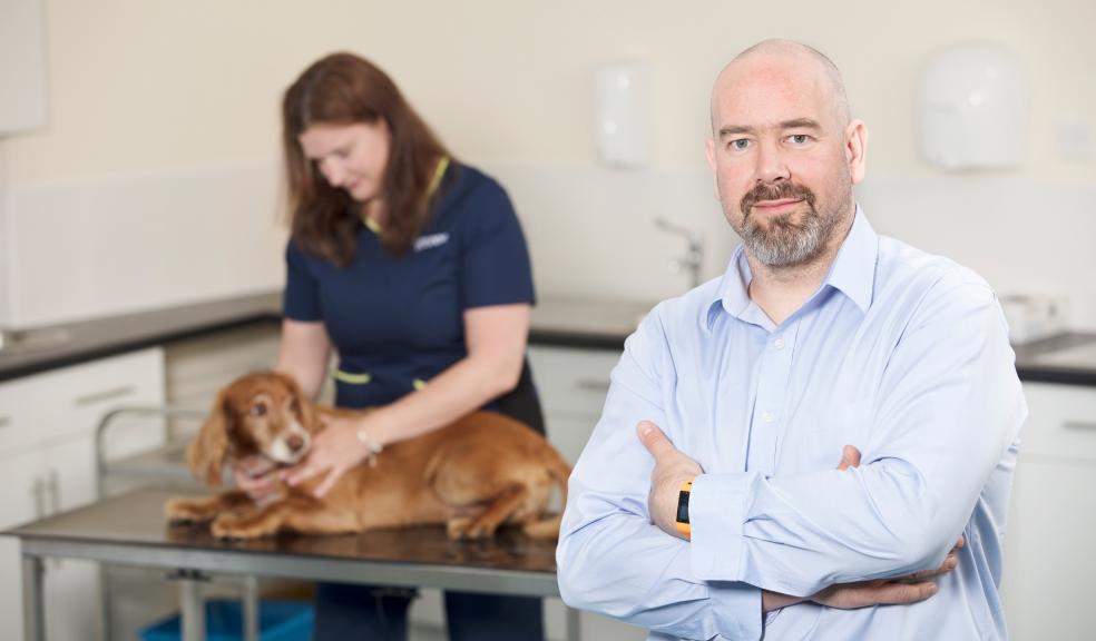 Heat health alert - I’m a vet and these are 6 things dog owners need to ...